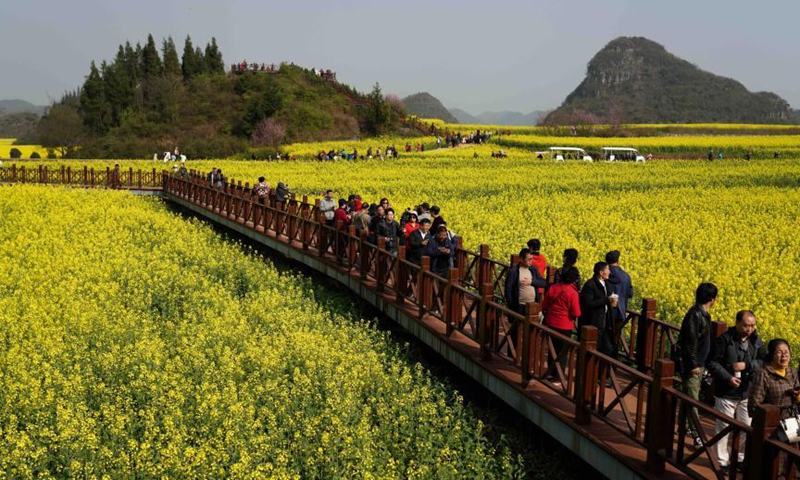 Blooming canola flower attracts tourists in Yunnan - Global Times