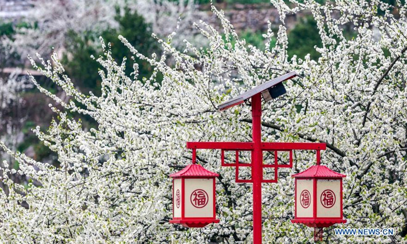 Spring scenery in China - Global Times