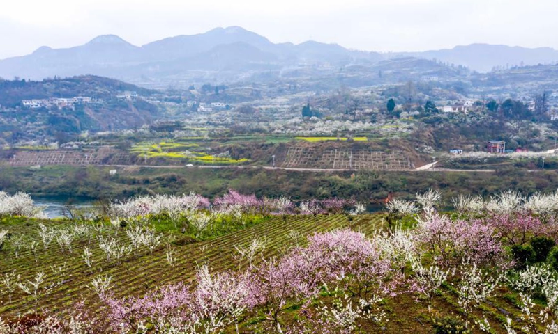 Spring scenery in China - Global Times