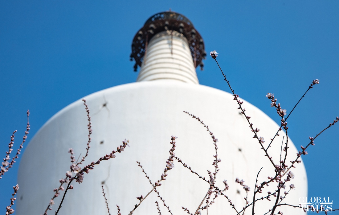 People enjoy spring scenery in Beijing - Global Times