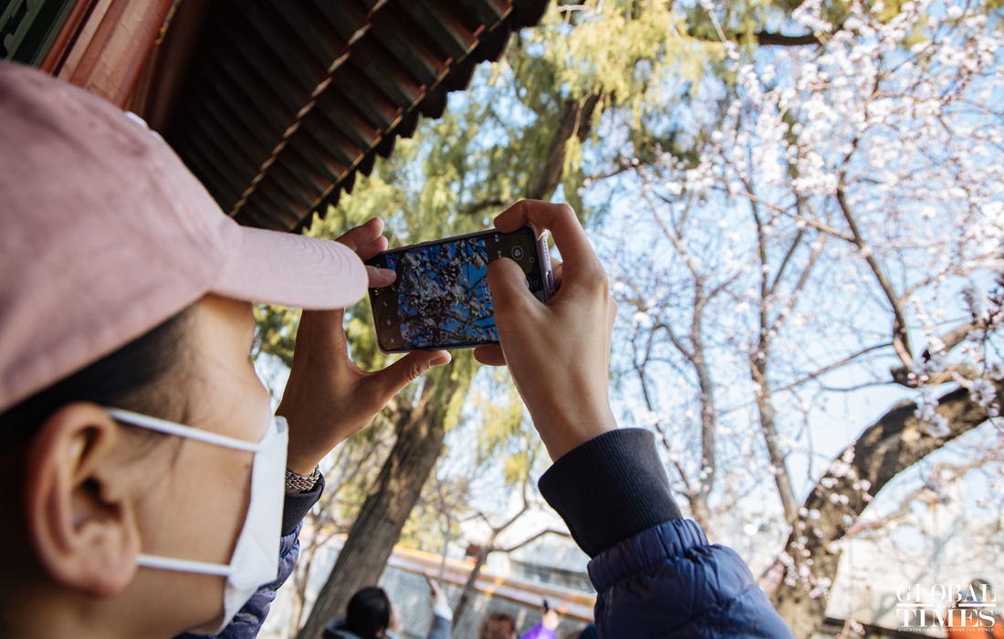 People enjoy spring scenery in Beijing - Global Times