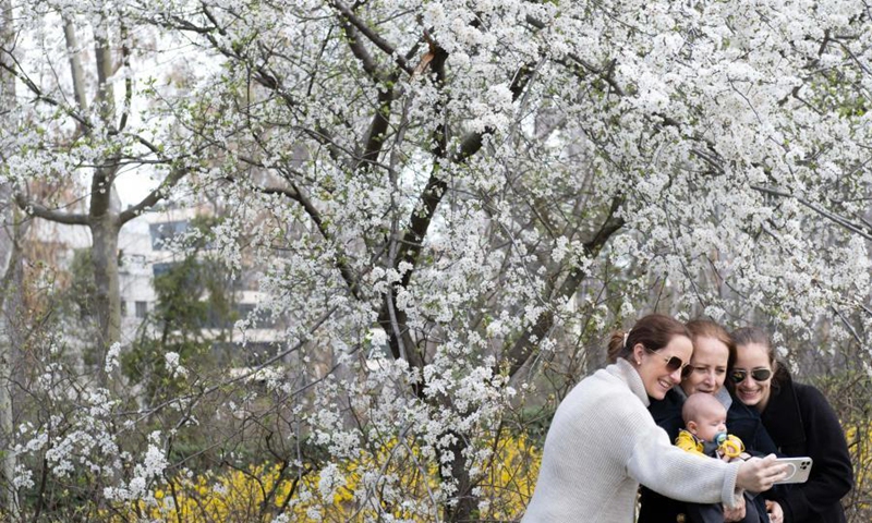 Spring scenery in Madrid, Spain - Global Times
