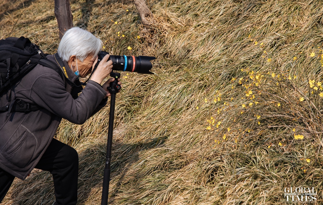 People enjoy spring scenery in Beijing - Global Times