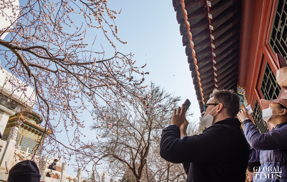 People enjoy spring scenery in Beijing - Global Times