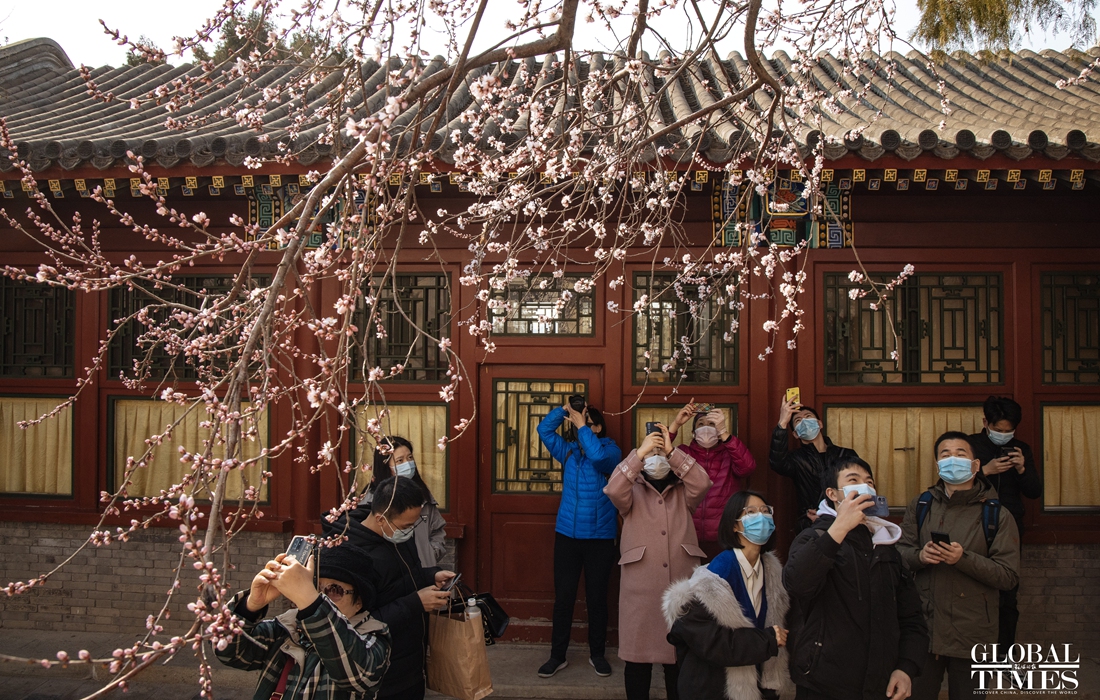 People enjoy spring scenery in Beijing - Global Times