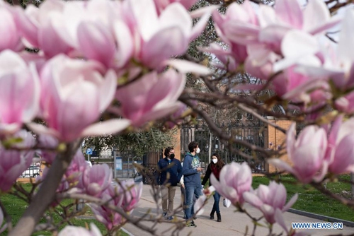 Spring scenery in Madrid, Spain - Global Times