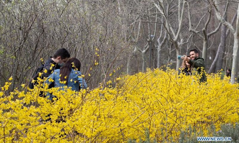 Spring scenery in Madrid, Spain - Global Times
