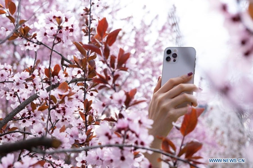 Spring scenery in Madrid, Spain - Global Times
