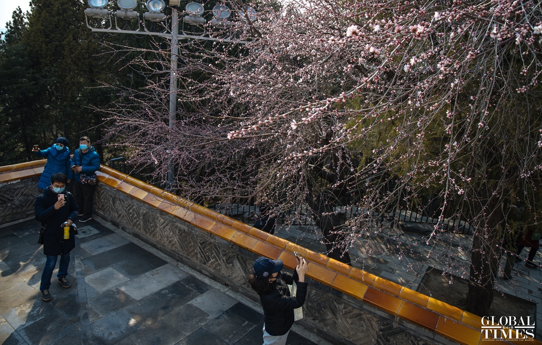People enjoy spring scenery in Beijing - Global Times