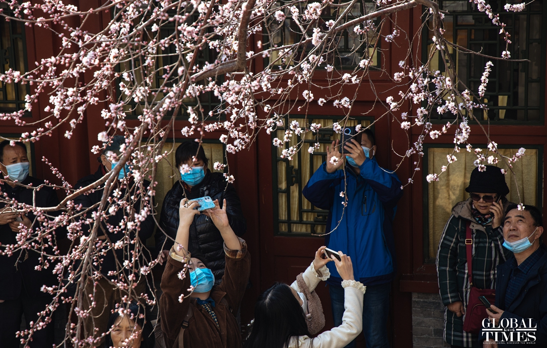 People enjoy spring scenery in Beijing - Global Times