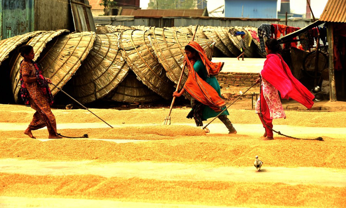 Bangladeshi women work in rice mill - Global Times