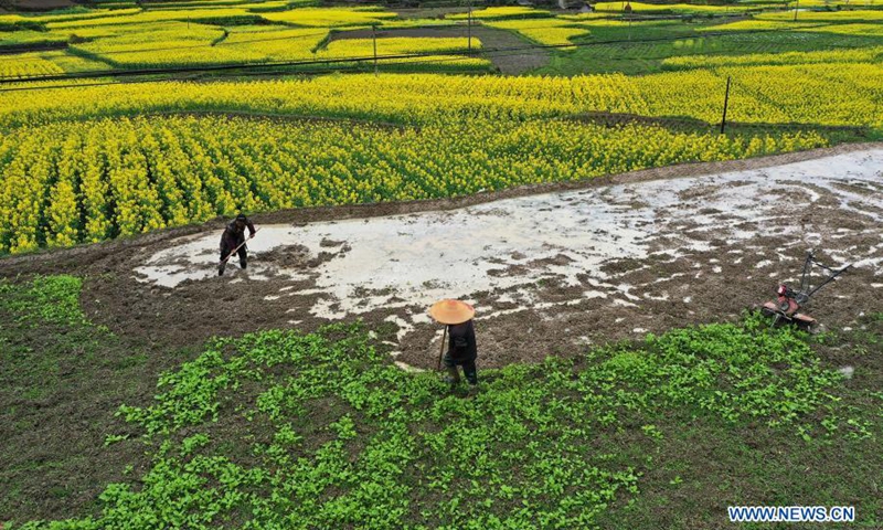 Spring farming underway across China - Global Times