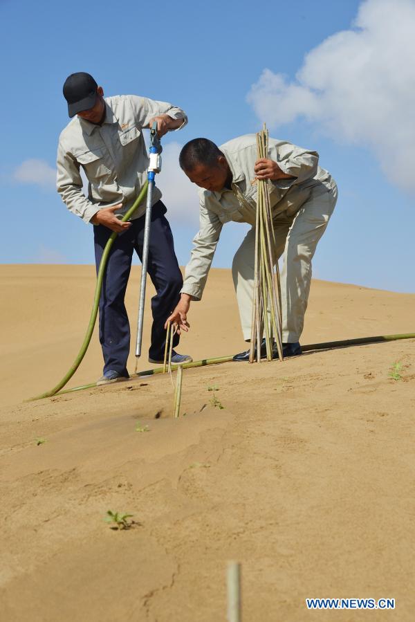 Green lands cover more areas of China with efforts of volunteers across ...