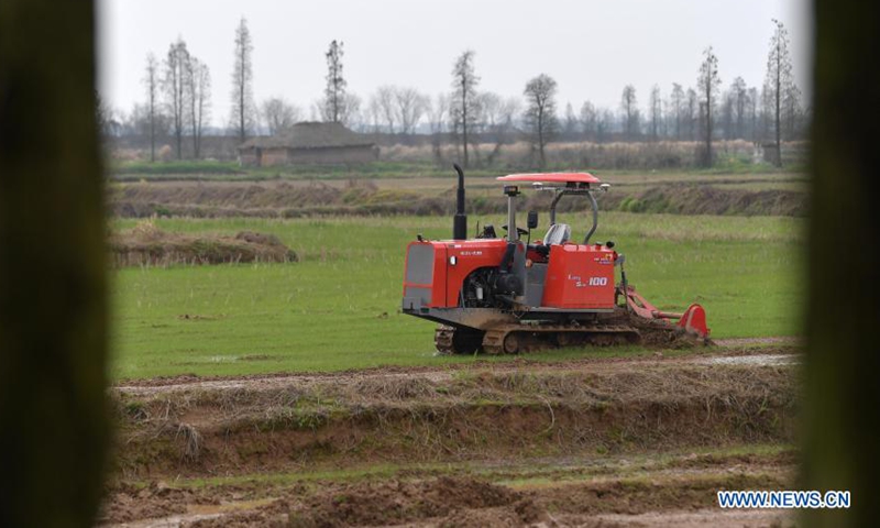 Farms of Datian rural cooperative in Jiangxi greets "smart" spring ...