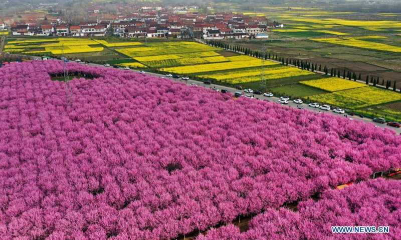 Spring scenery in Hanzhong - Global Times