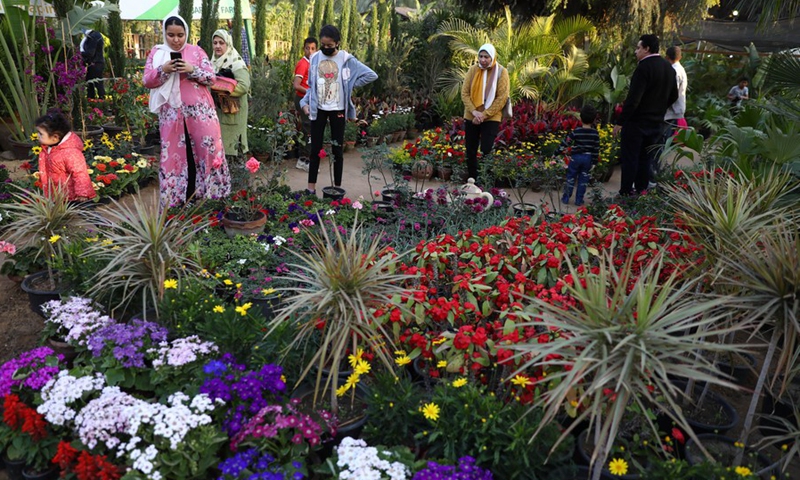 Come bring spring home! - Global Times