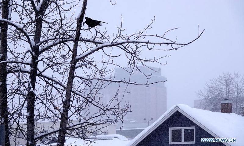 Heavy snowfall hits Anchorage, US - Global Times