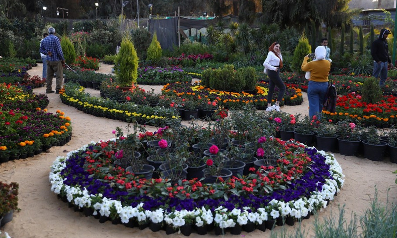 Come bring spring home! - Global Times