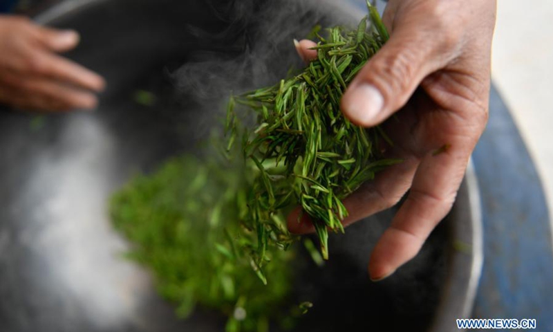 Traditional tea processing in Hangzhou - Global Times