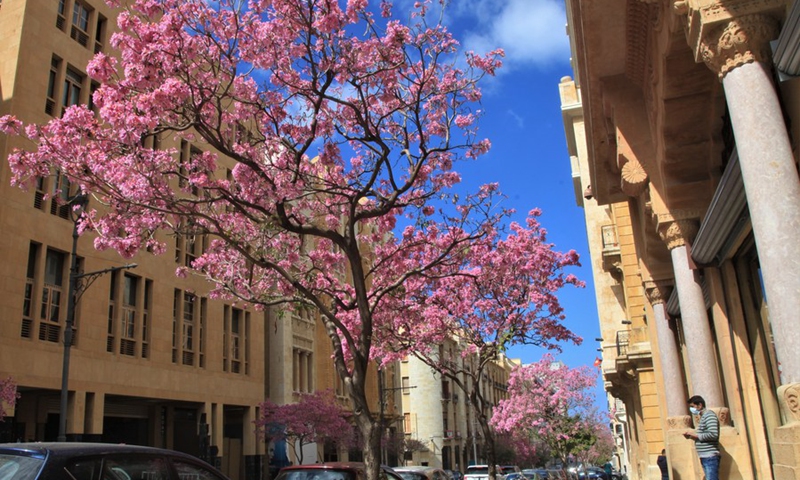 Beirut is beautiful! - Global Times