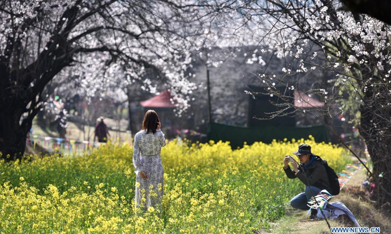 Spring scenery across China - Global Times