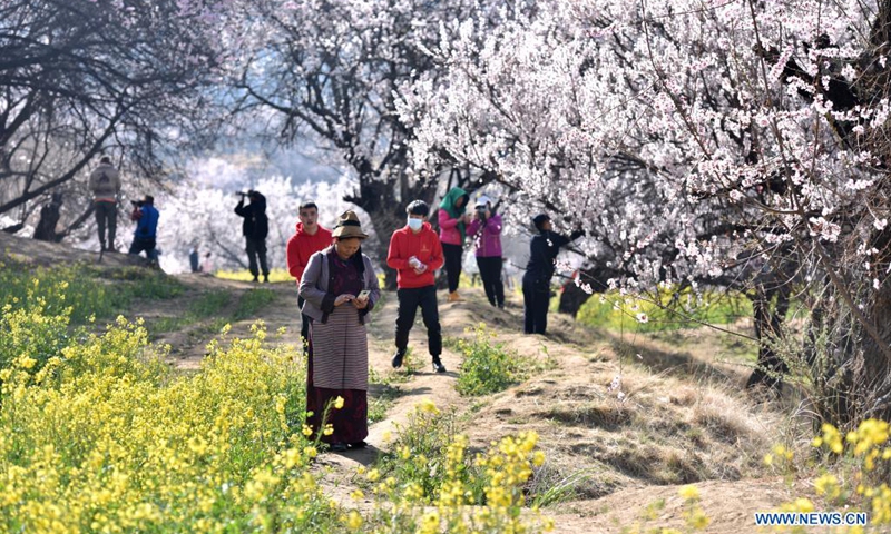 Spring scenery across China - Global Times