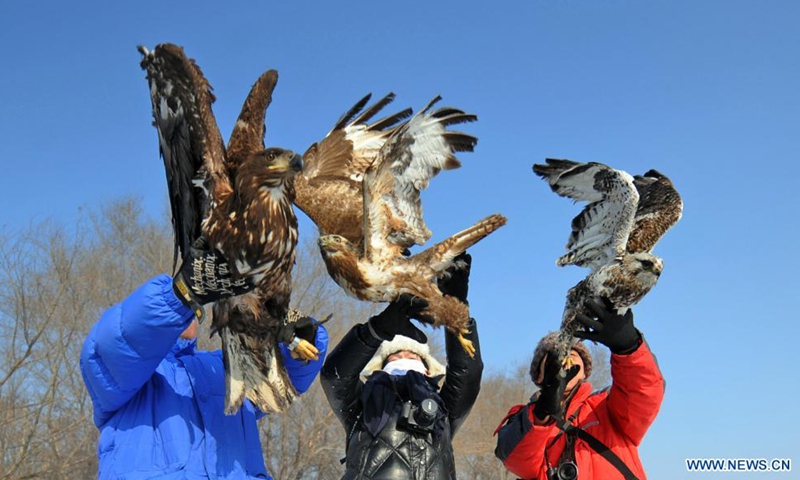 Volunteers help injured birds return to sky - Global Times