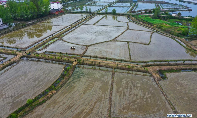 Spring farming underway across China - Global Times
