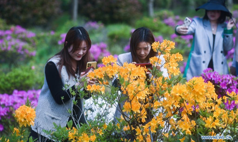 Flowers in full bloom as temperature rises in Changxing, E China ...