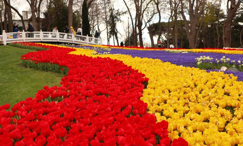 People view tulips at park in Istanbul, Turkey - Global Times
