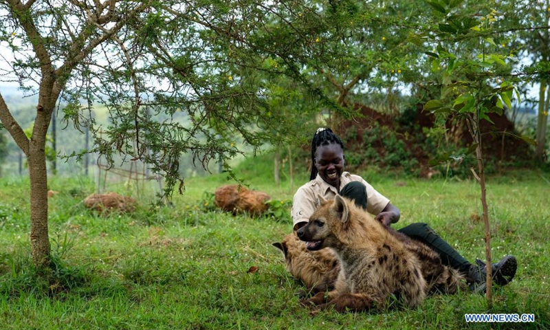 Ugandan youths champion harmony between wildlife and humans - Global Times