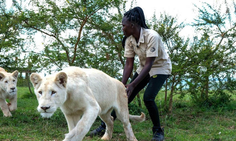 Ugandan youths champion harmony between wildlife and humans - Global Times