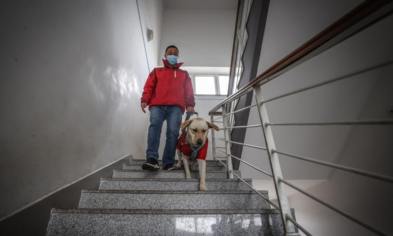 Guide dog training center in Dalian, NE China - Global Times