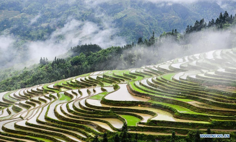 In pics: terraced fields in Congjiang County, SW China - Global Times