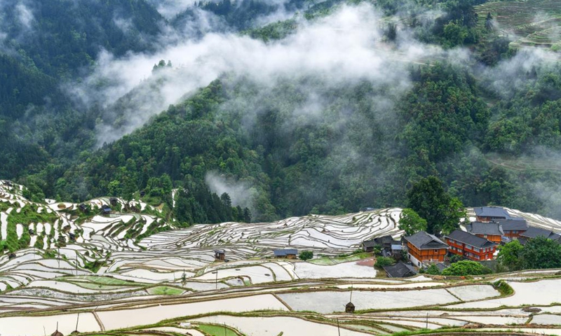In pics: terraced fields in Congjiang County, SW China - Global Times