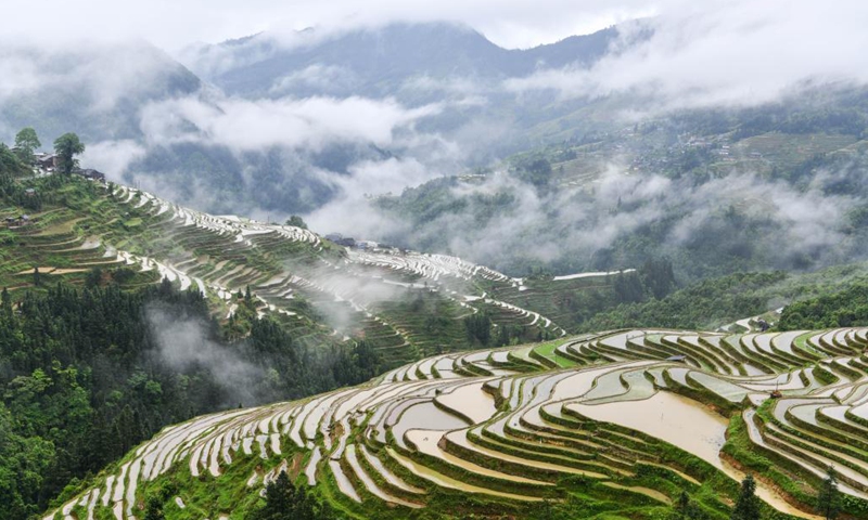 In pics: terraced fields in Congjiang County, SW China - Global Times