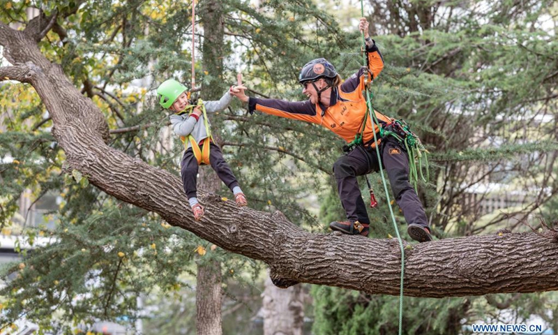 People take part in tree-themed activities in Haig Park of Canberra ...