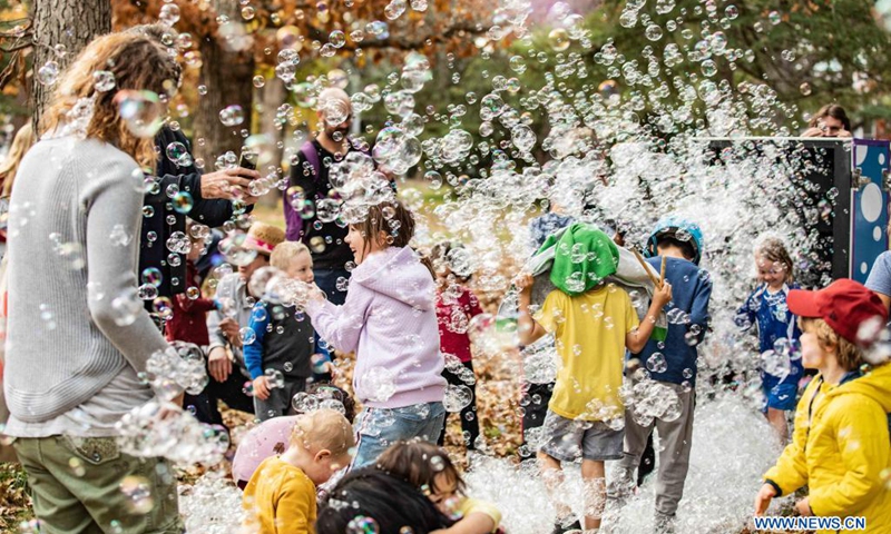 People take part in tree-themed activities in Haig Park of Canberra ...
