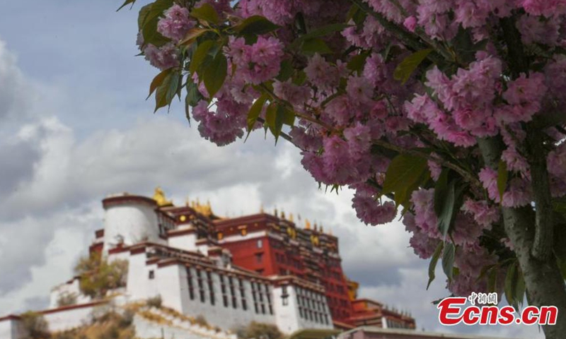 Tibet celebrates 70th anniversary of peaceful liberation - Global Times