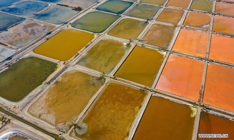 View of salt fields in China's Shandong - Global Times
