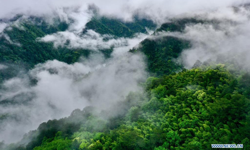 Scenery of Wuyishan National Park in Fujian - Global Times