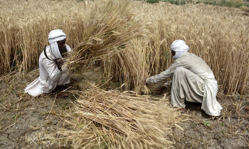 Pakistan seeks cooperation with China to modernize agricultural sector ...