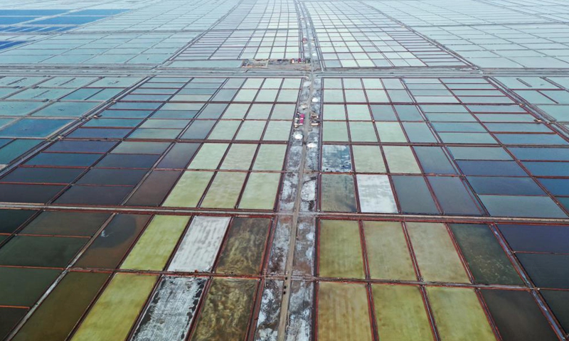Workers harvest salt at salt field in Binzhou, east China's Shandong ...