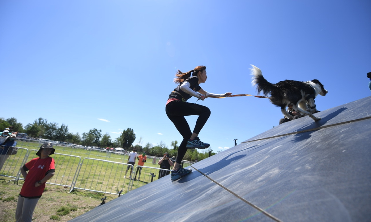 Dog and human obstacle race - Global Times