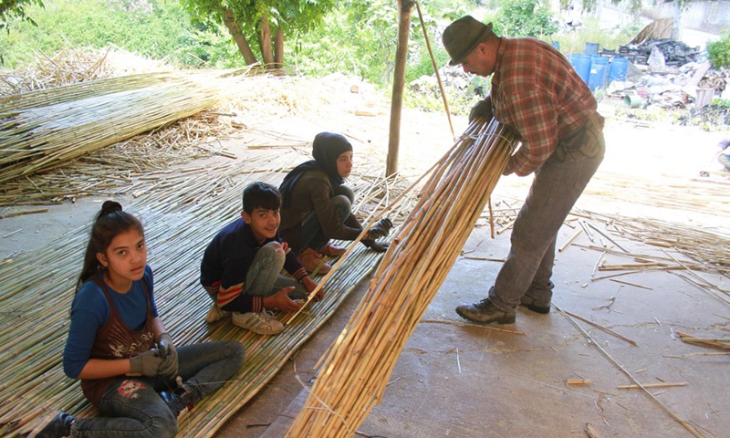 Making reed handicrafts in Lebanon - Global Times