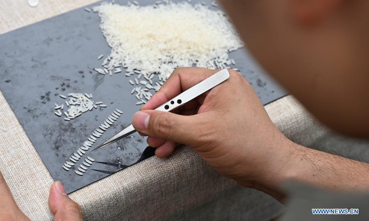 Inheritor of Gaolou rice handicraft - Global Times
