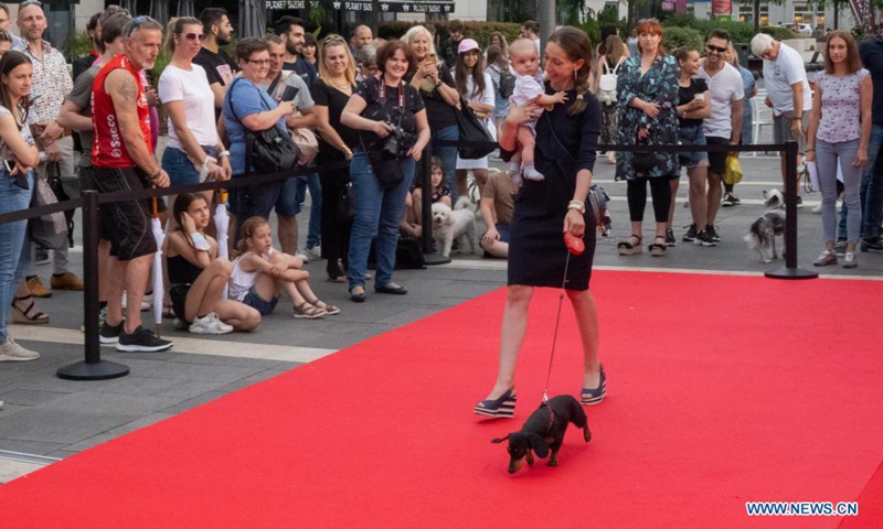 Dogs on the Red Carpet fashion show held in Budapest - Global Times