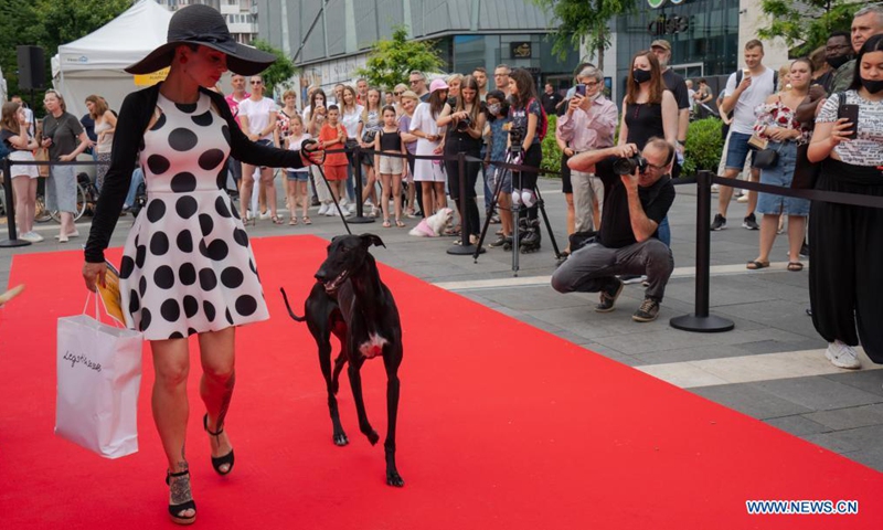 Dogs on the Red Carpet fashion show held in Budapest - Global Times