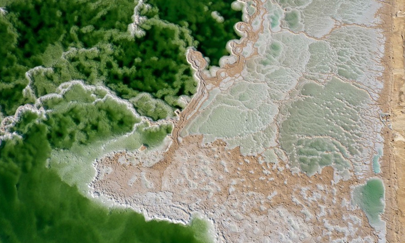 Beautiful patterns of salt formations at Dead Sea - Global Times