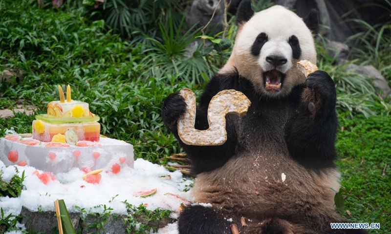 Pandas Eating Cake